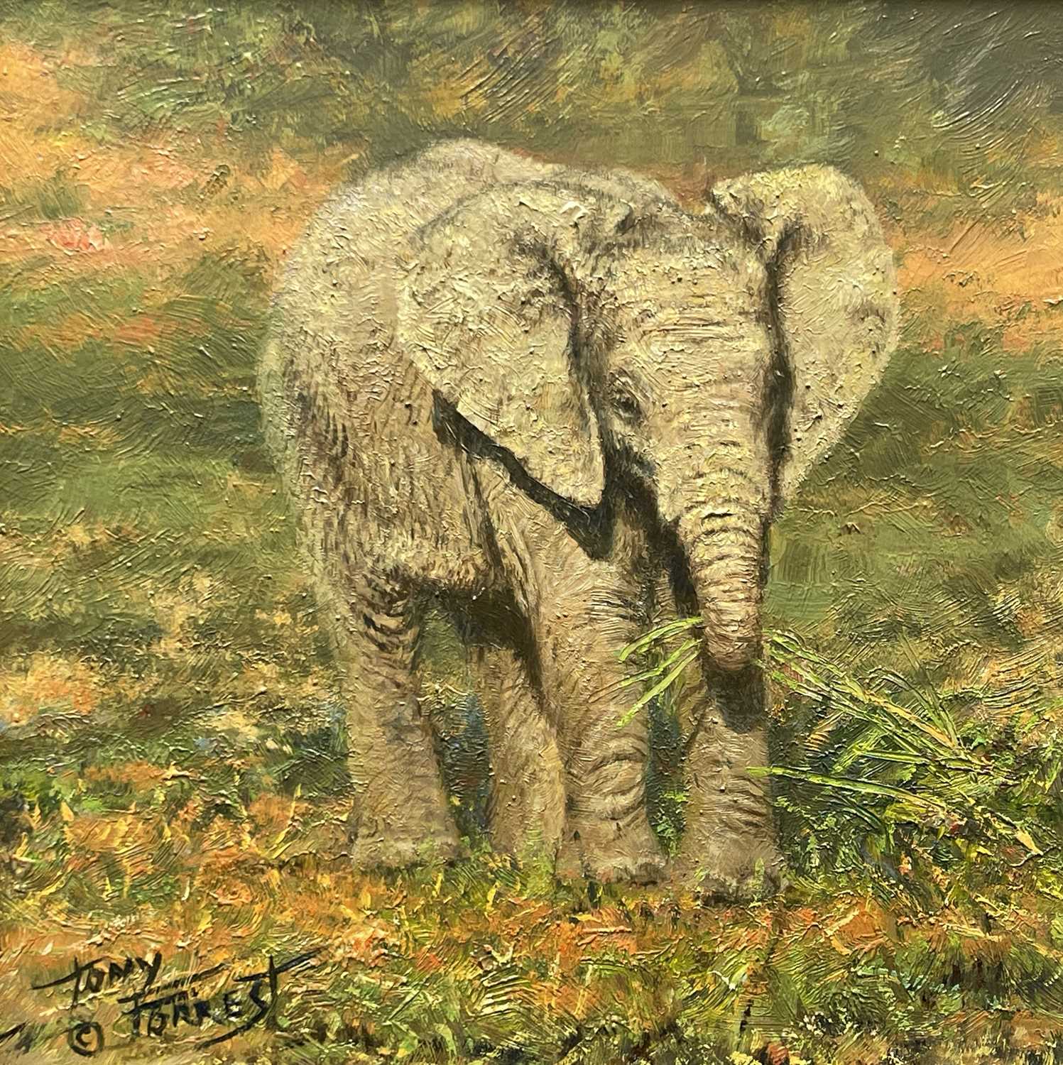 Lot 375 - Tony Forrest (British, 1961), elephant in