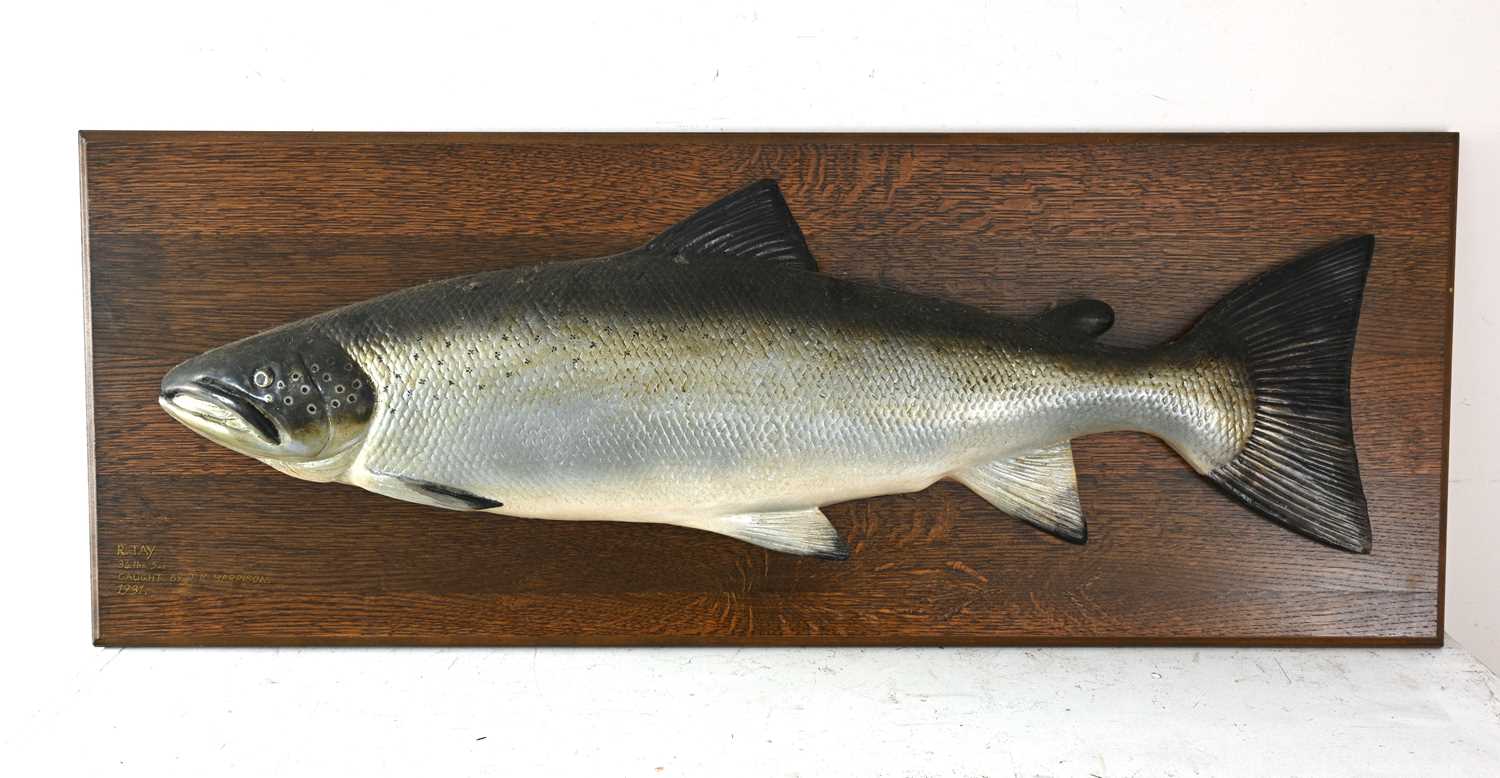 Lot 327 - A giant plaster cast trophy of a prize Trout,