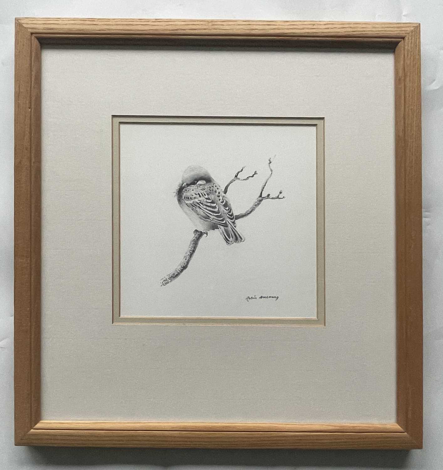 Lot 295 - Robin Armstrong (British, 1947), a bird on a