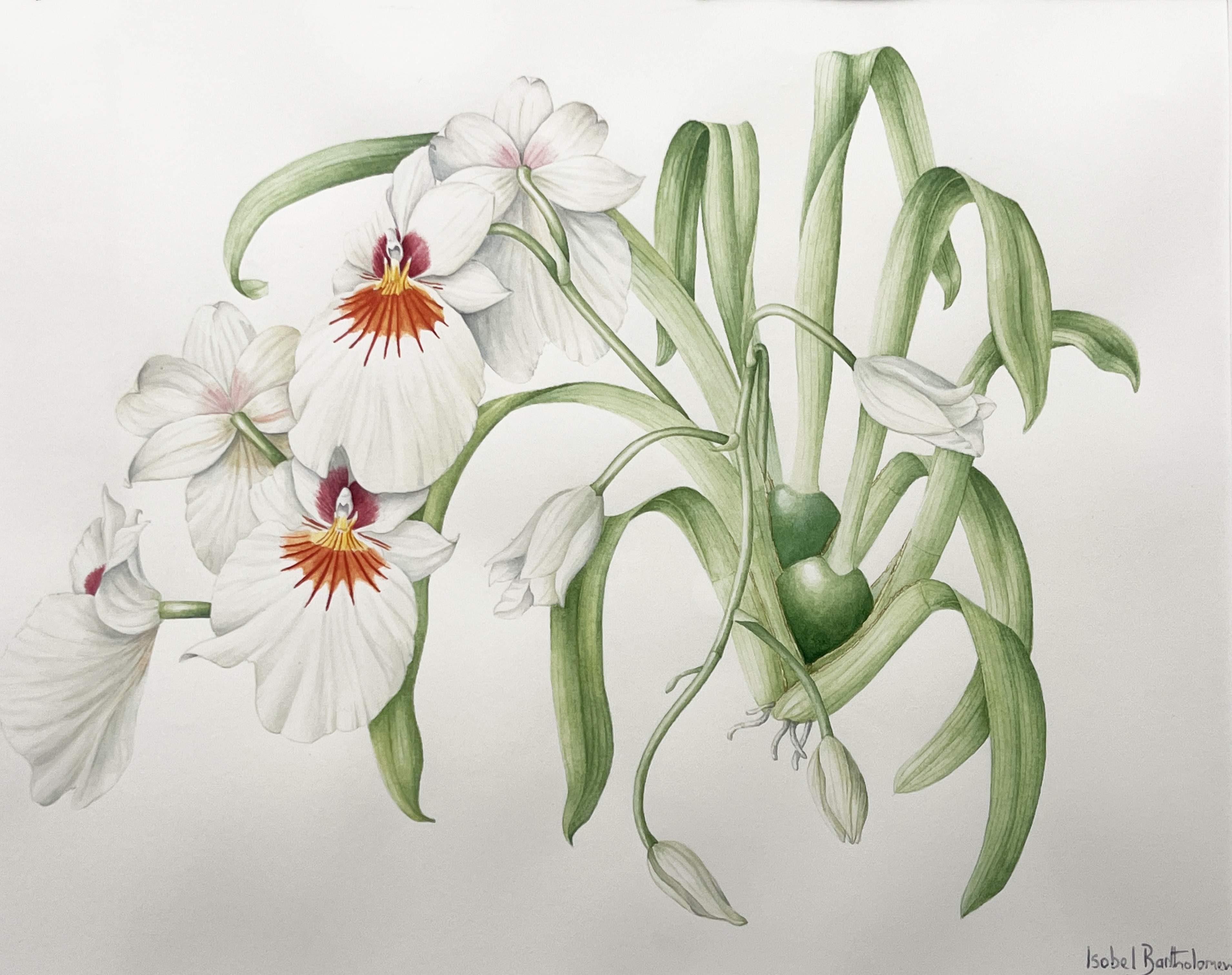 Lot 295 - Robin Armstrong (British, 1947), a bird on a